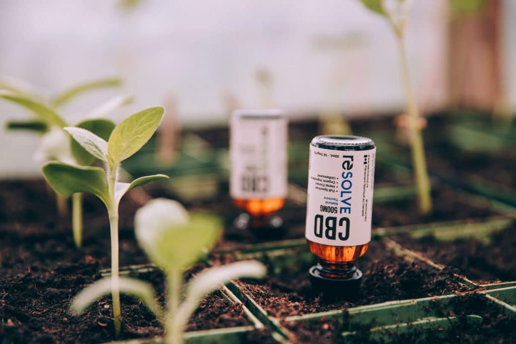 CBD Extraction Methods: How to Extract CBD Oil | resolveCBD